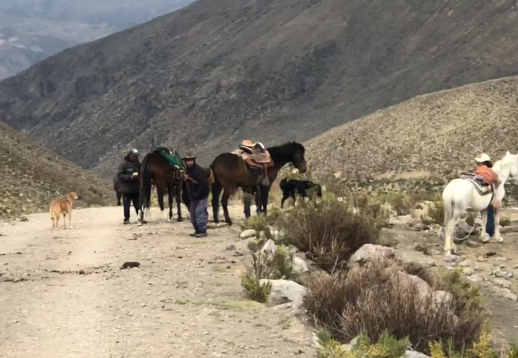 pampa real peru cowboys – It's not a slow car, it's a fast house