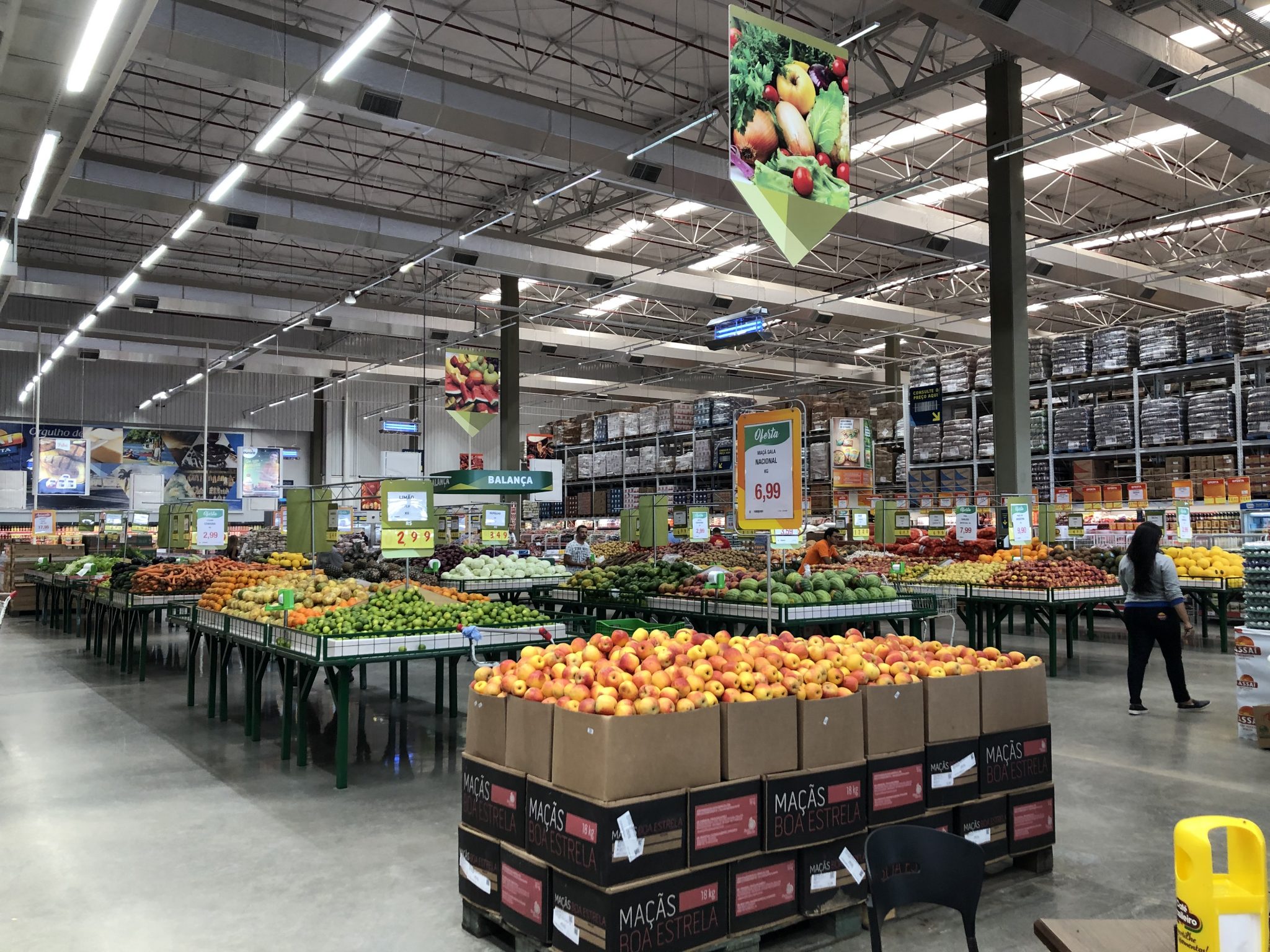 Brazil- Northeastern Amazon and a little more…. saw | It's not a slow ...